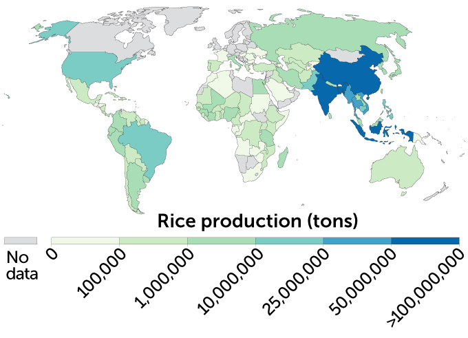 Rice feeds half the world. Climate change’s droughts and floods put it ...
