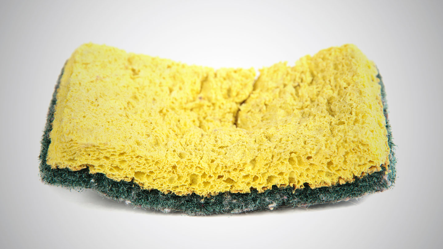 Why kitchen sponges are the perfect home for bacteria - Ideas and ...