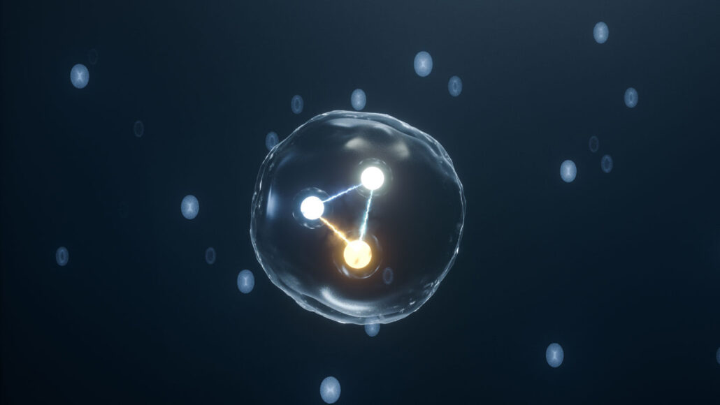 Protons contain intrinsic charm quarks, a new study suggests - Ideas ...