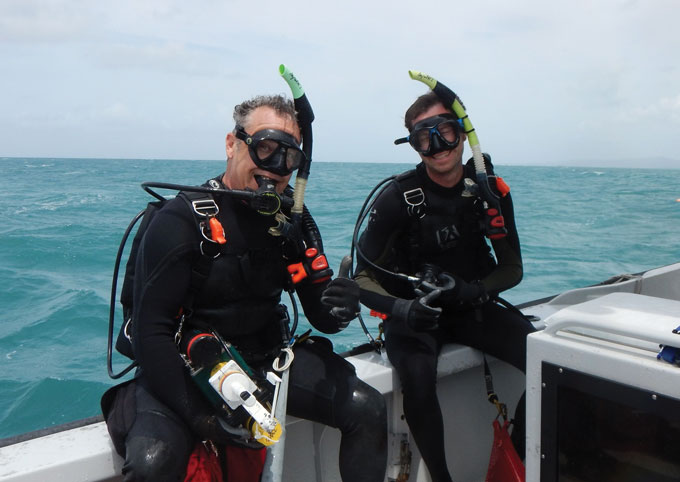 A coral pollution study unexpectedly helped explain Hurricane Maria’s ...