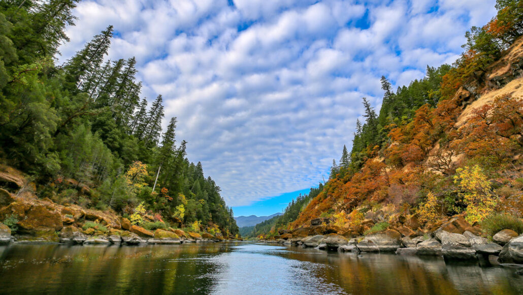 Heat waves in U.S. rivers are on the rise. Here’s why that’s a problem ...