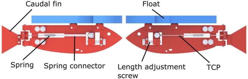 Robot fish makes splash with motion breakthrough - Ideas and Discoveries