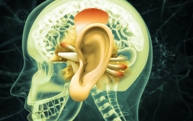What causes motion sickness? Here's how to reconcile the mismatch in ...