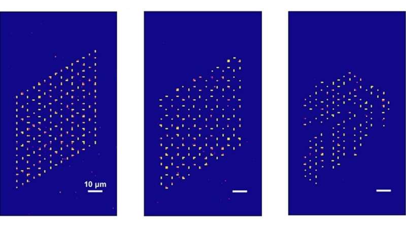 Quantum scientists achieve state-of-the-art defect-free atom array ...