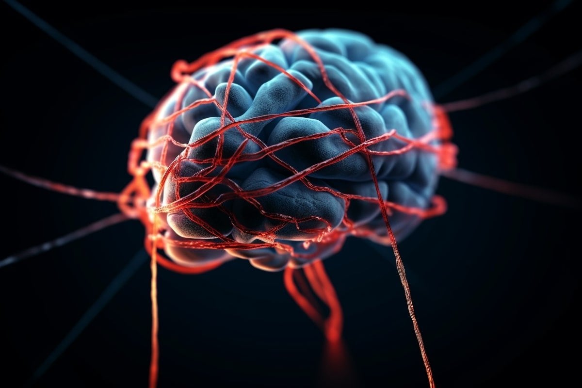 Brain Connectivity a Potential Indicator of Suicide Risk - Ideas and ...