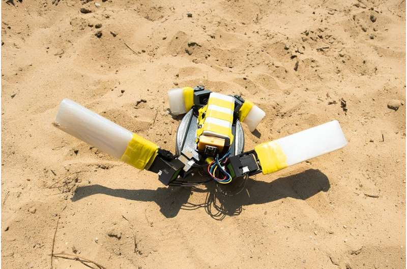 Robotic sea turtle mimics uniquely adaptable gait - Ideas and Discoveries