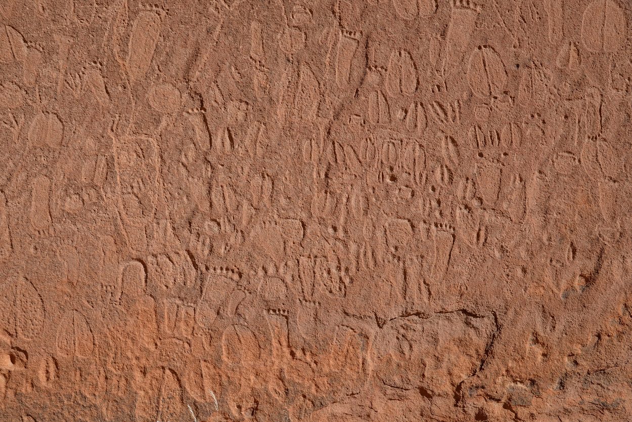 Indigenous trackers can identify animal species from ancient rock art ...