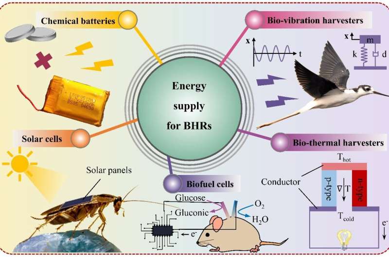 A review of energy supply for biomachine hybrid robots - Ideas and ...