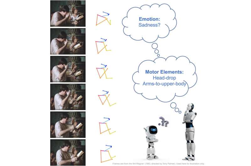 Human body movements may enable automated emotion recognition ...