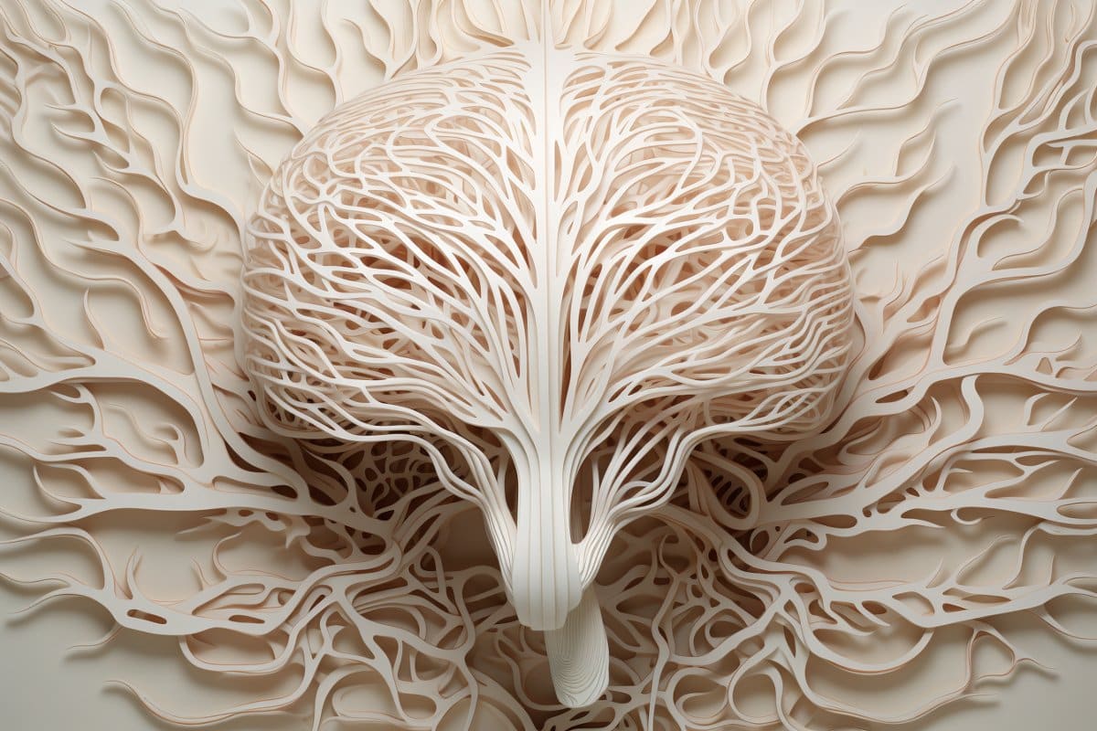 White Matter Wonders: Re-imagining the Brain's Silent Majority - Ideas ...