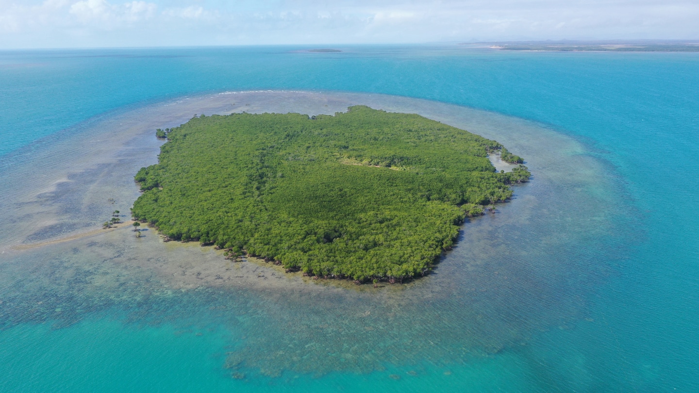 On some Australian islands, sea level rise may be helping mangroves ...
