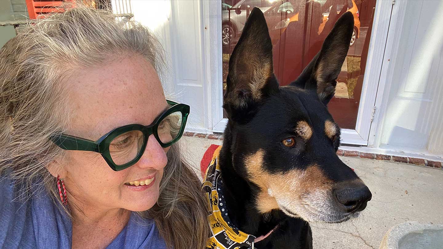 Here are 5 questions about the mystery dog illness making news - Ideas ...
