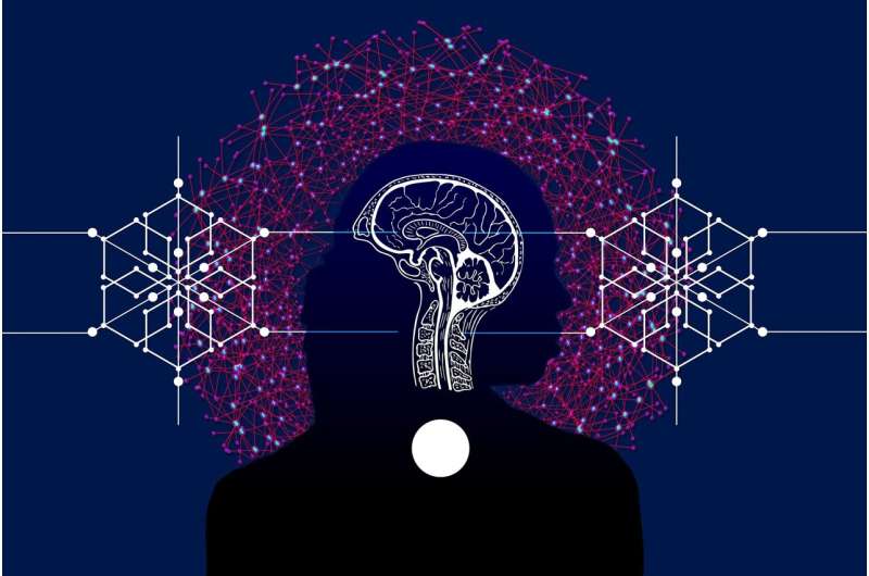 Complex, unfamiliar sentences make the brain's language network work ...