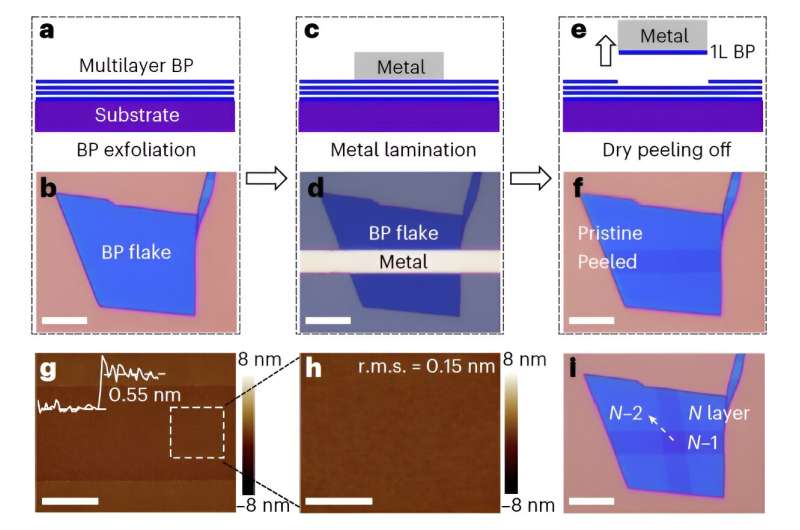 New transistors based on monolayer black phosphorus and germanium ...