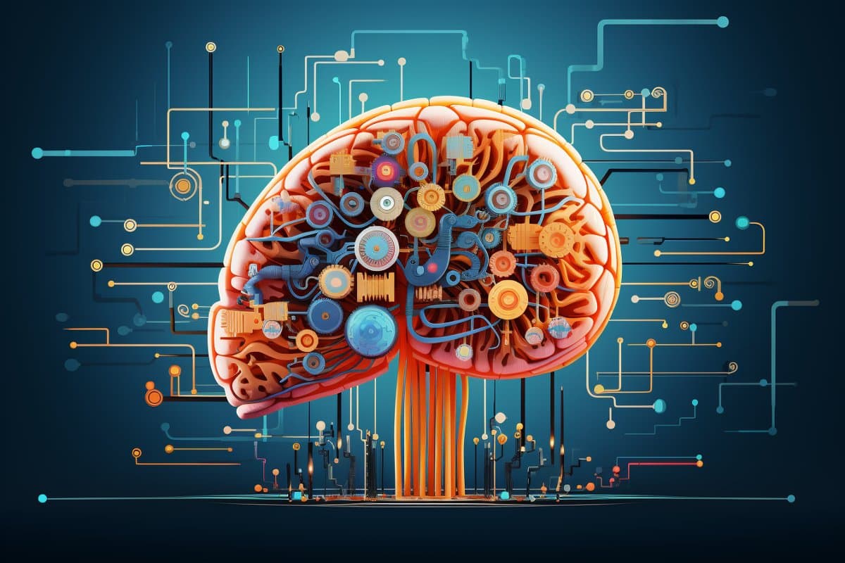 Outsmarting AI: Brain's Wide, Shallow Learning Redefines Efficiency ...