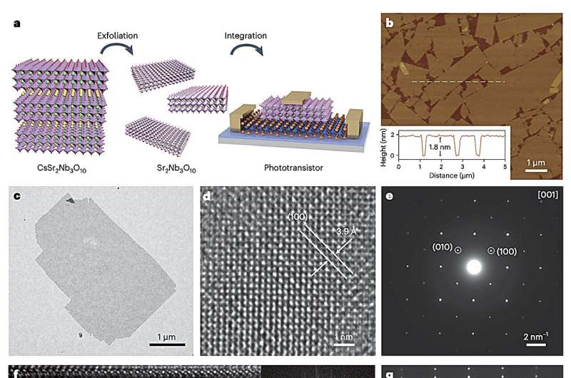 Using a 2D perovskite oxide as a photoactive high-κ gate dielectric ...