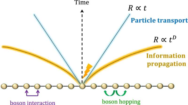 Scientists investigate information propagation in interacting bosonic ...