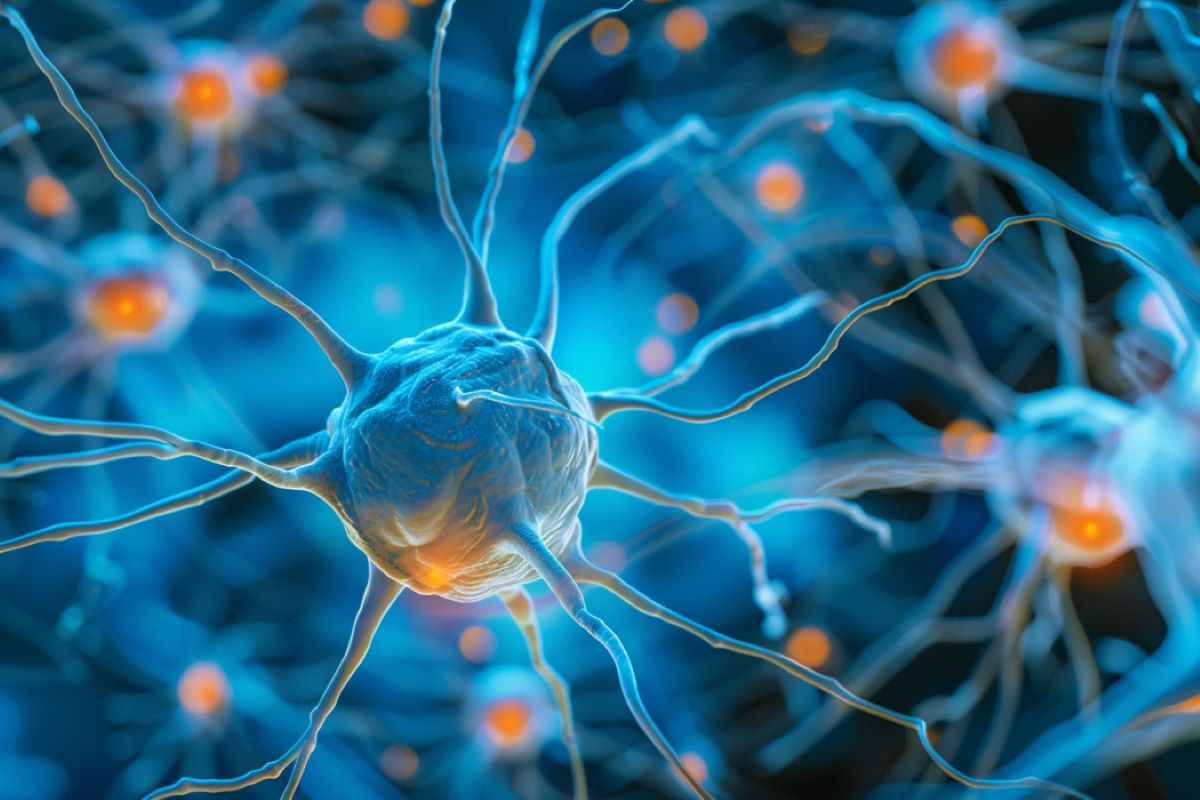 ALS Study Reveals Subtypes and Promising Drug Target - Ideas and ...