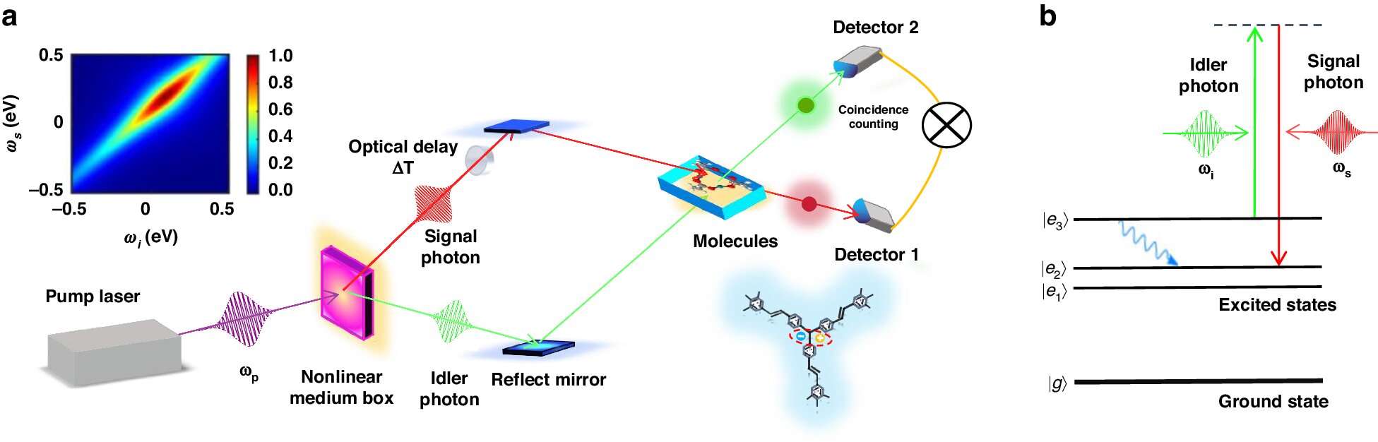 Entangled photons enable Raman spectroscopy - Ideas and Discoveries