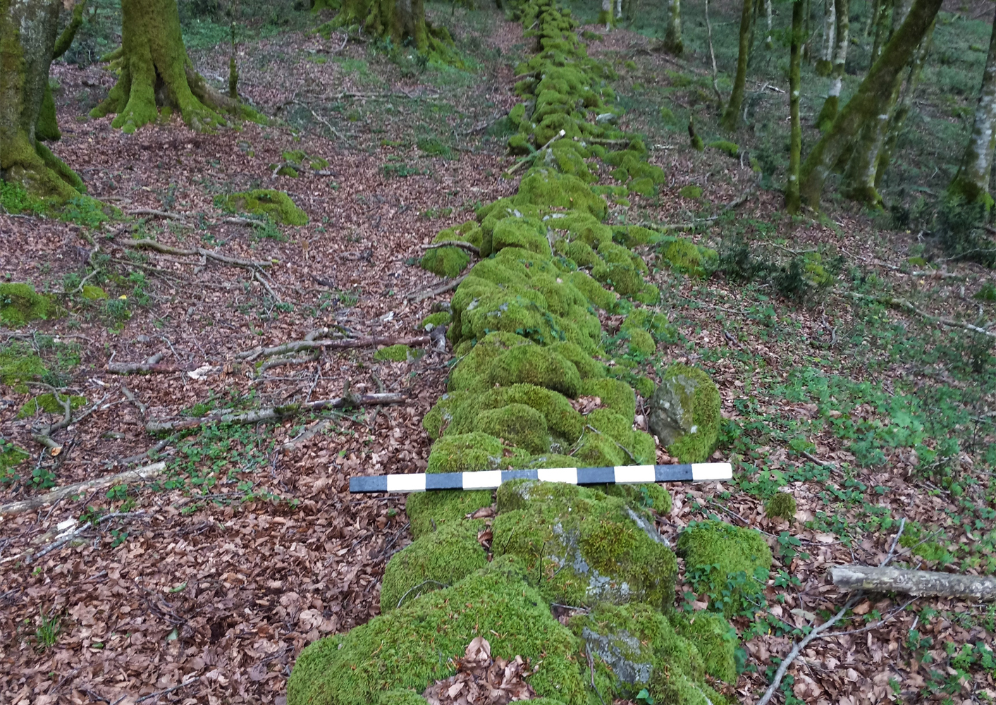 Archaeologists find Roman defensive wall built to trap Spartacus ...