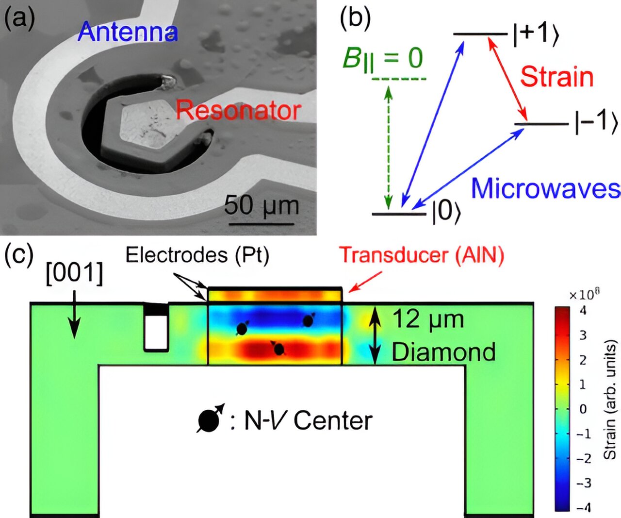 X-ray imagery of vibrating diamond opens avenues for quantum sensing ...