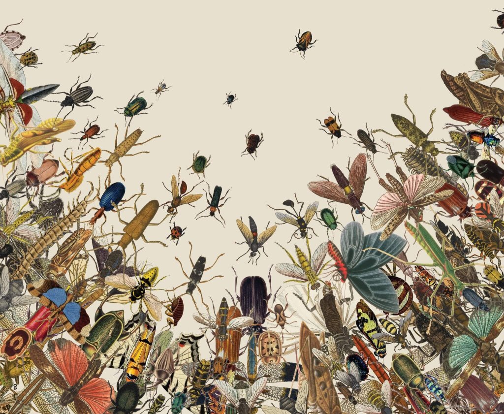 Organic or conventional farming? Which system better preserves our ...