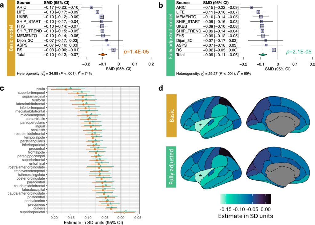 Presence of white spots on MRI brain scans linked to genetic risk of ...