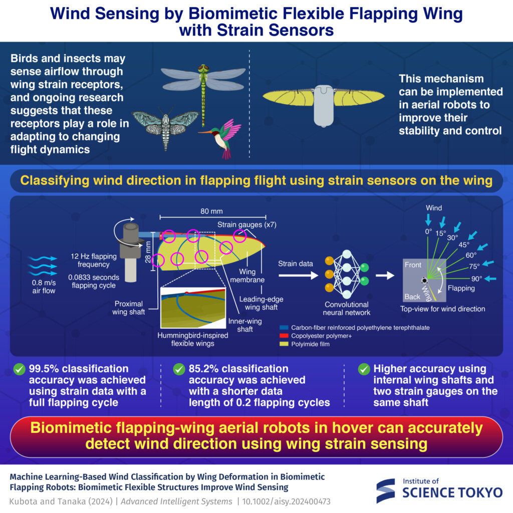 Hummingbird-inspired wings detect wind direction with 99% accuracy ...
