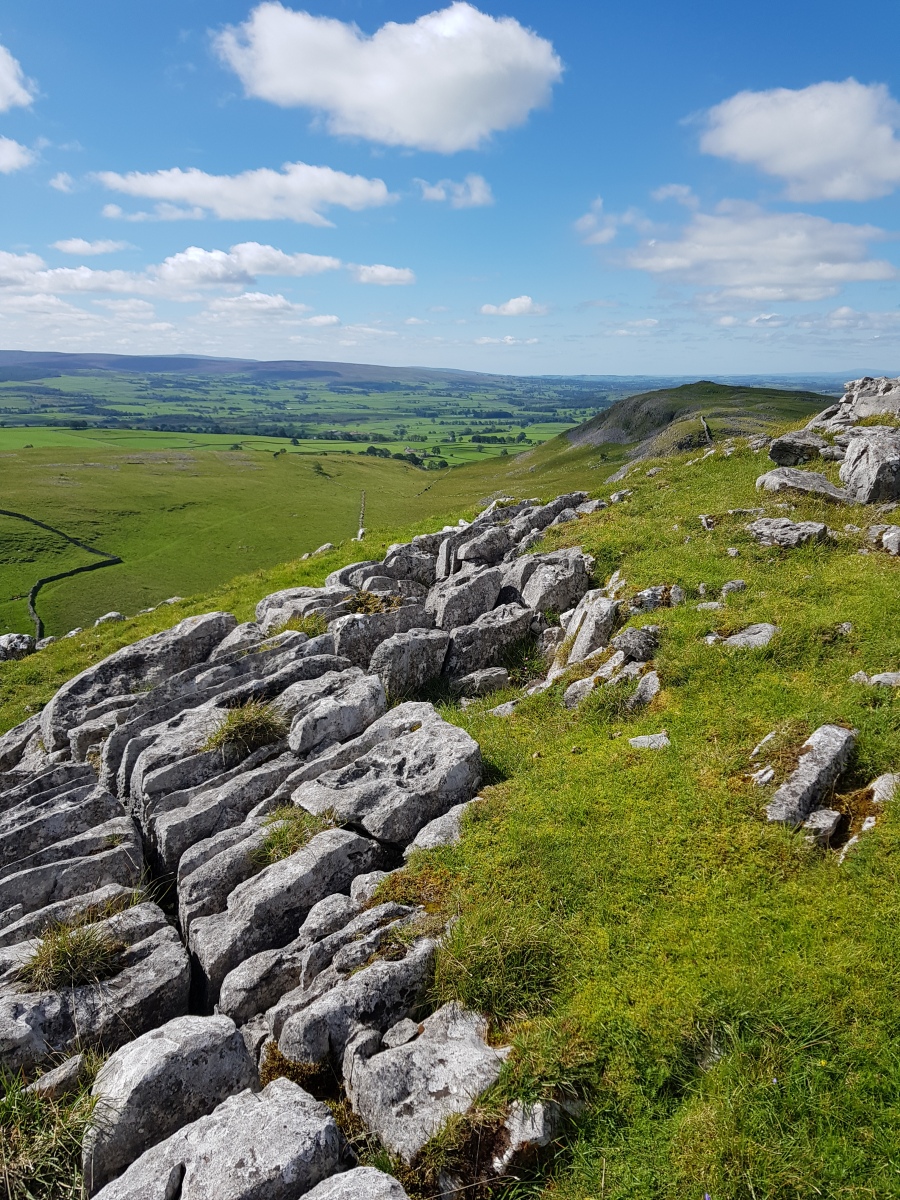 Exploring Great Britain’s limestone pavements – Functional Ecologists ...