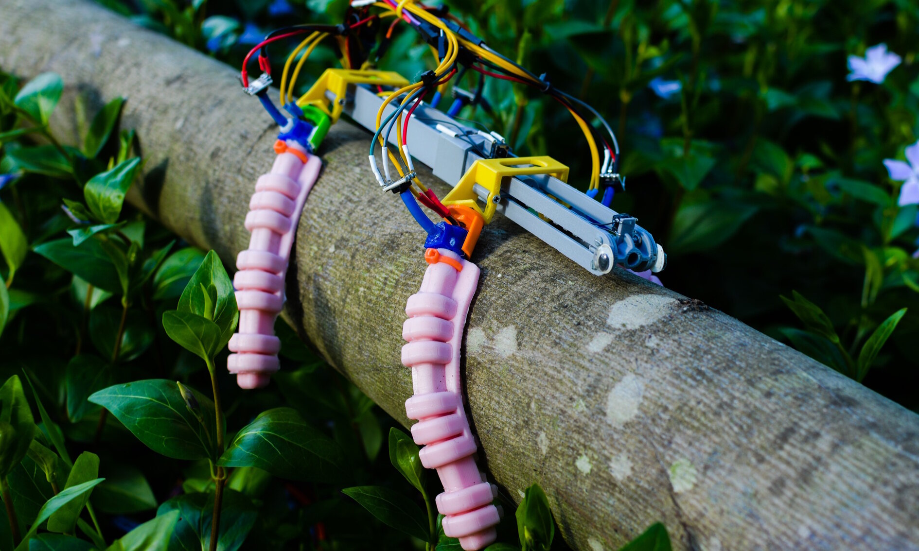 How water vapor is powering the next generation of soft robots - Ideas ...