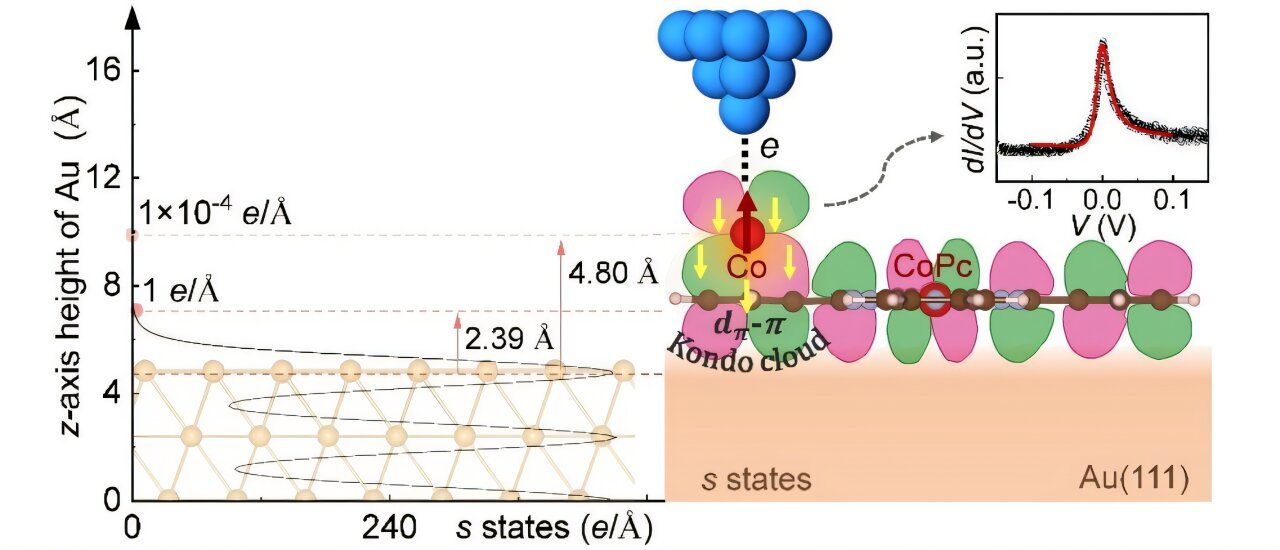 Single organic molecule triggers Kondo effect in molecular-scale 'Kondo ...