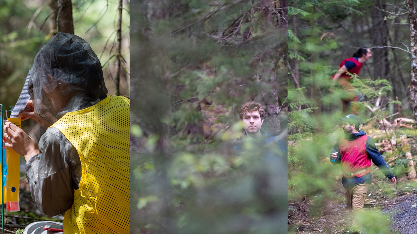 In a Quebec park, a science game brings predator-prey dynamics to life ...