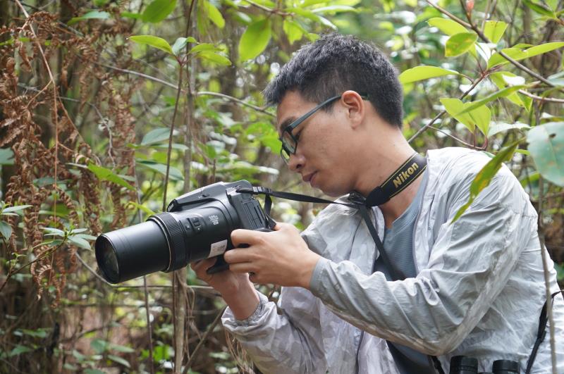 Wande Li | The night shift: how nocturnal arboreal mammals reshape seed ...